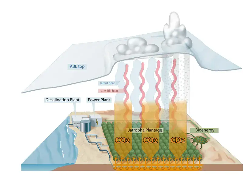 EGU - News & press - Could planting trees in the desert mitigate ...