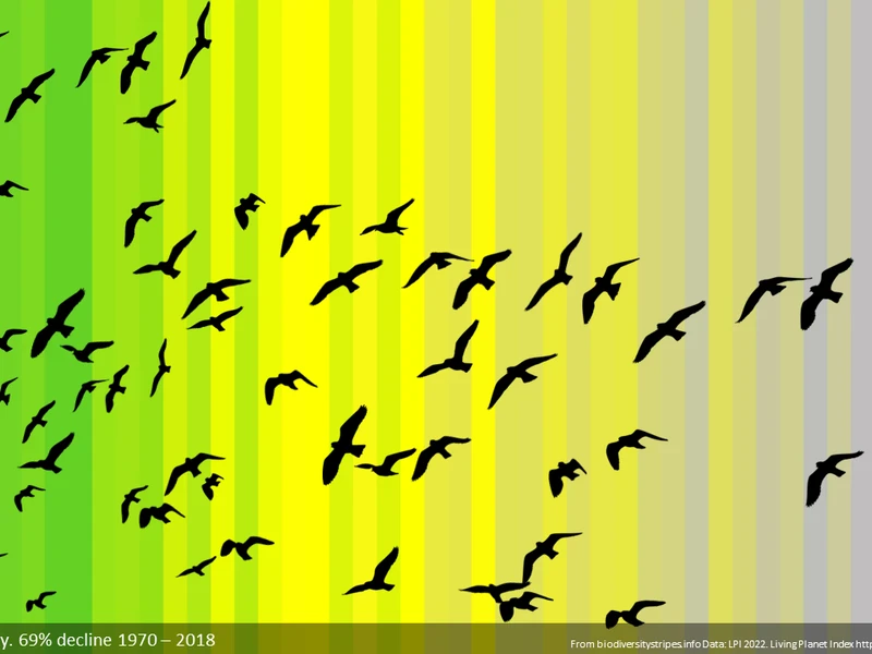 EGU - Outreach - Webinars and online events - Integrating science into ...