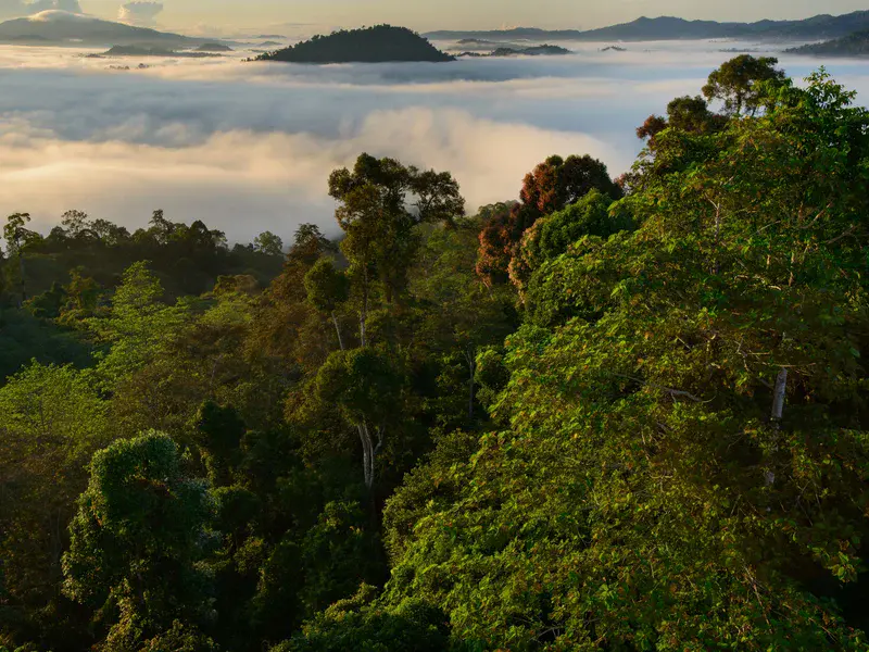 EGU - News & press - Travelling pollution – East Asian human activities ...