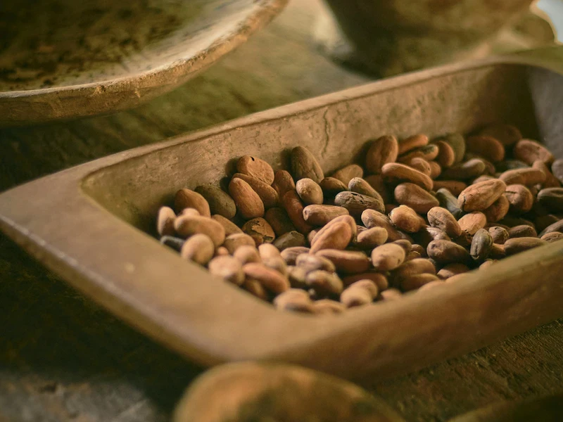 EGU - News - Saving chocolate while restoring rainforests? Rock dust ...